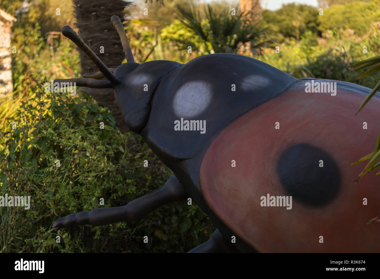 Giant model of a Ladybird at Slimbridge Stock Photo - Alamy