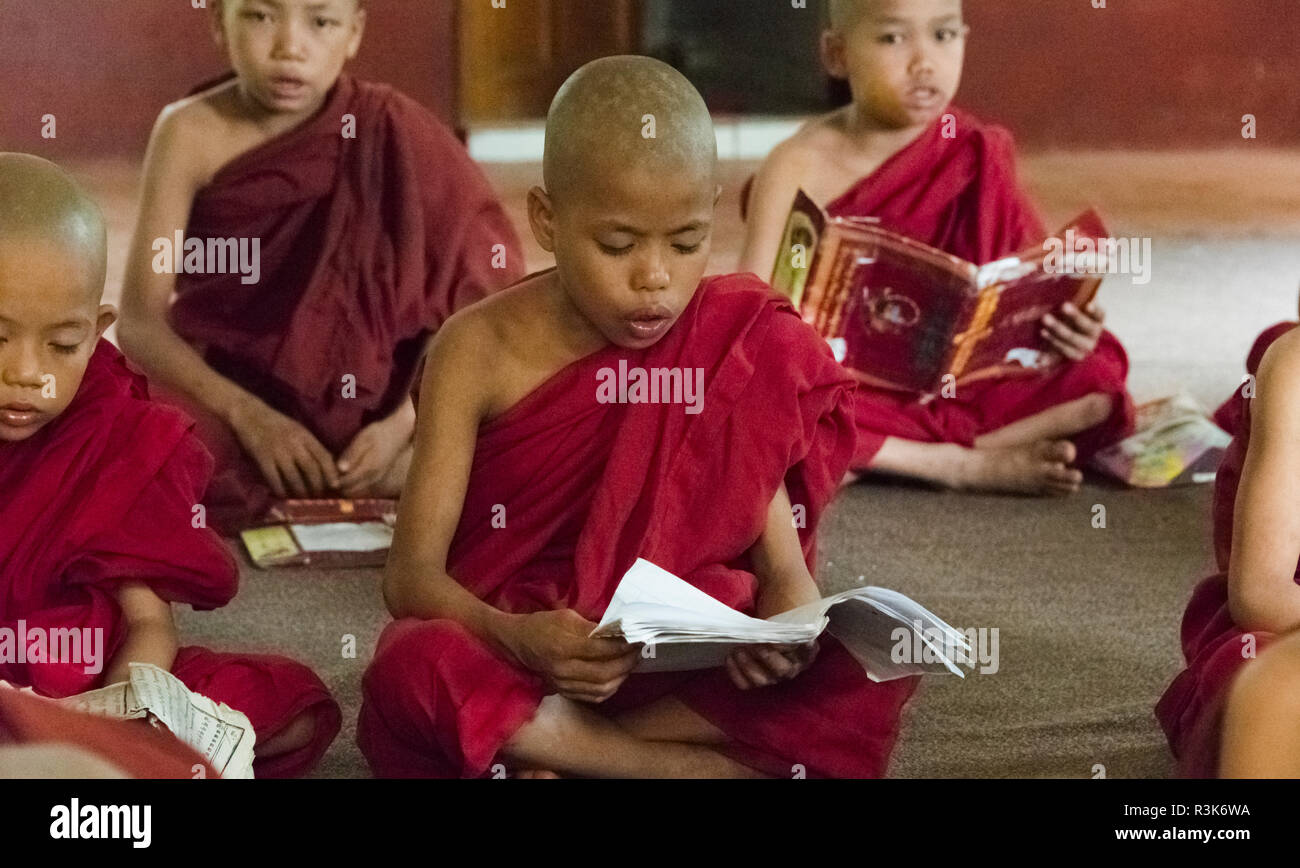 Buddhist monk reading scripture hi-res stock photography and images - Alamy