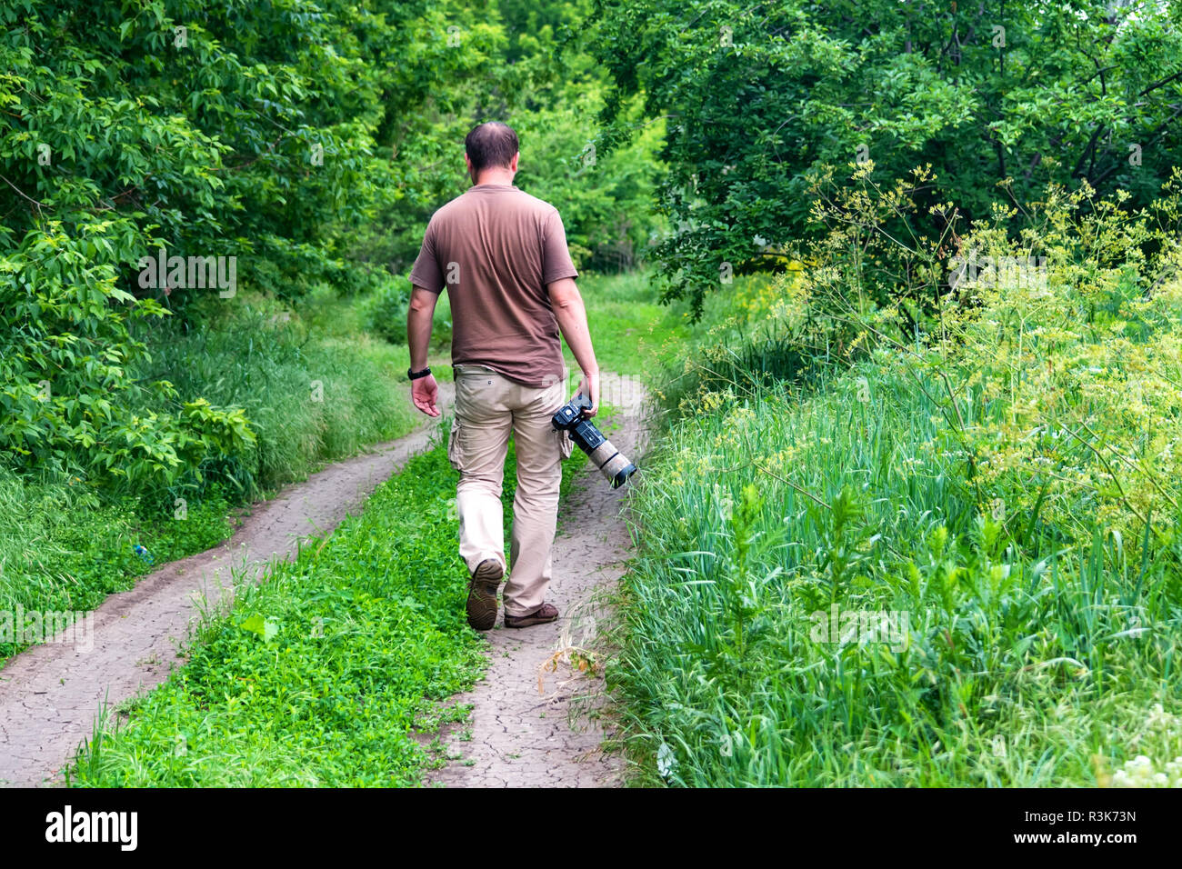 Hiking outdoor photographer walks in green forest, back view Stock ...