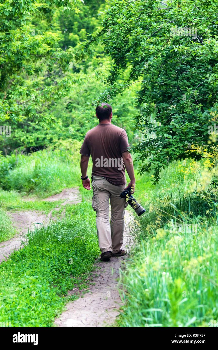 Hiking outdoor photographer walks in green forest, back view Stock ...