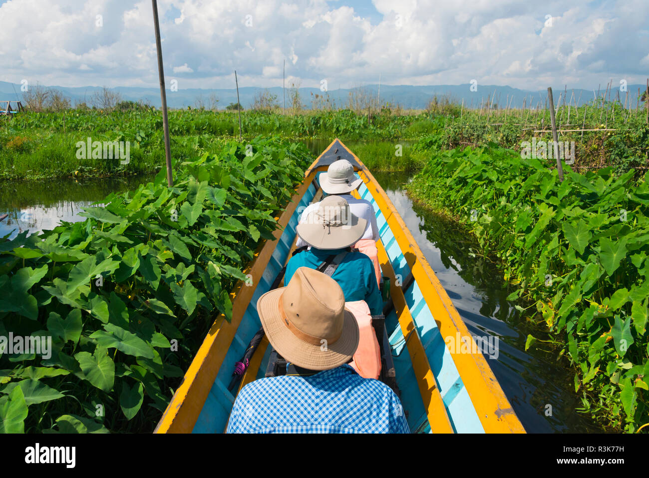 Tourist boat passing through floating farm on Inle Lake, Shan State ...