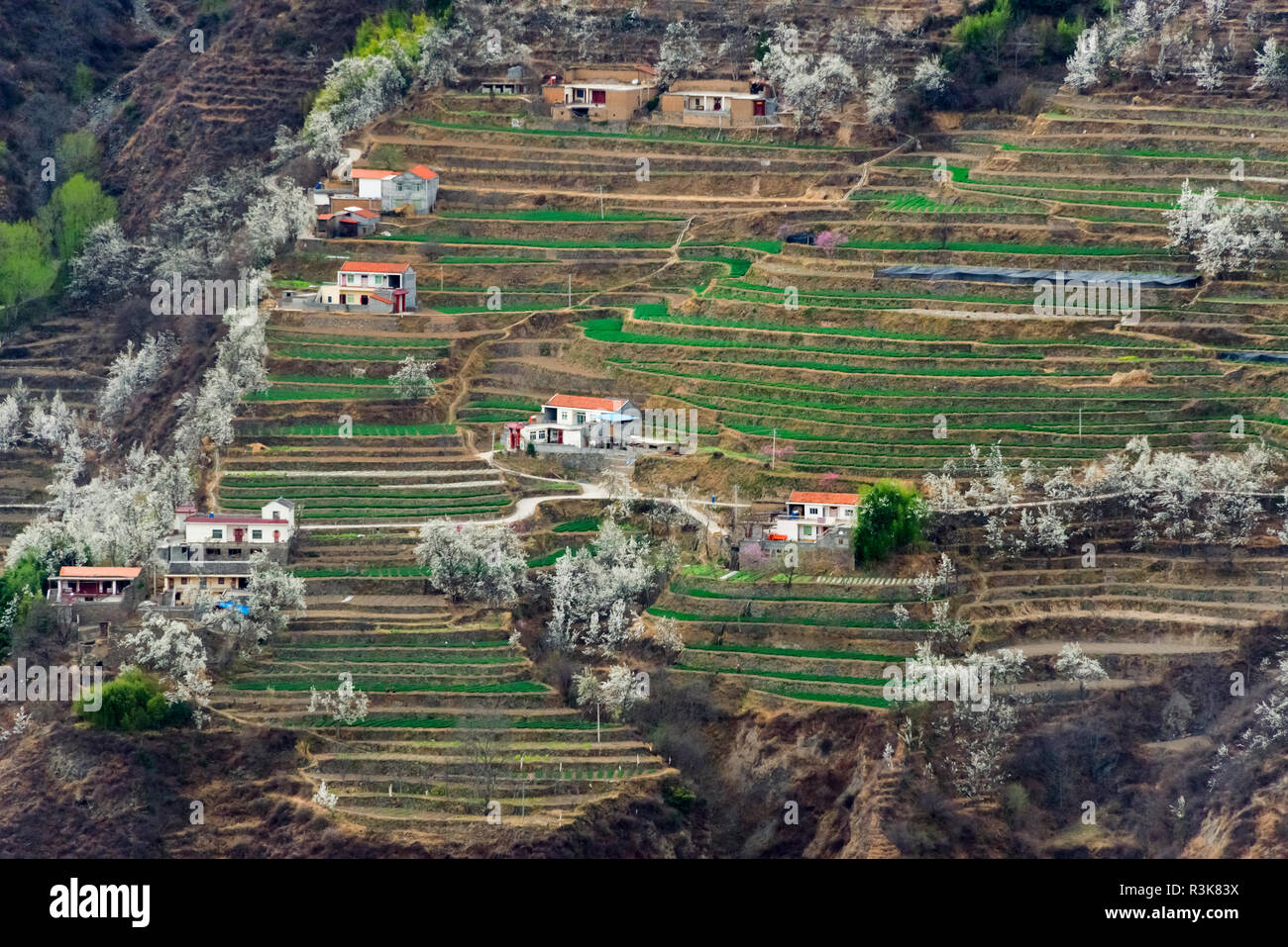 Jinchuan scenery hi-res stock photography and images - Alamy