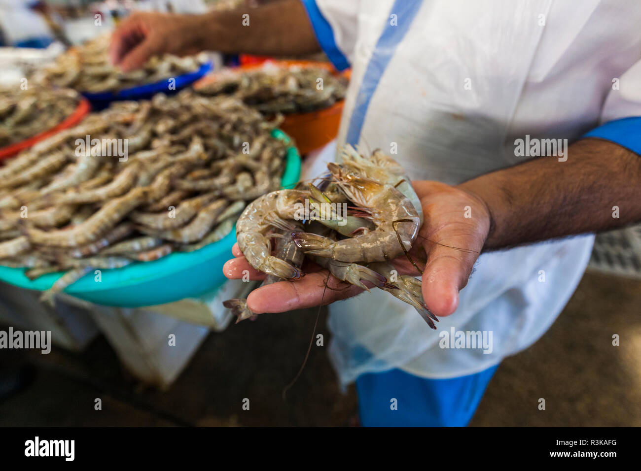 Gulf shrimp hi-res stock photography and images - Alamy