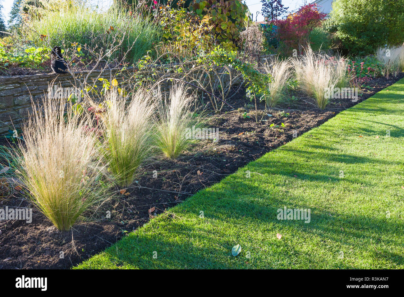 Ornamental grasses border grasses hi-res stock photography and images ...