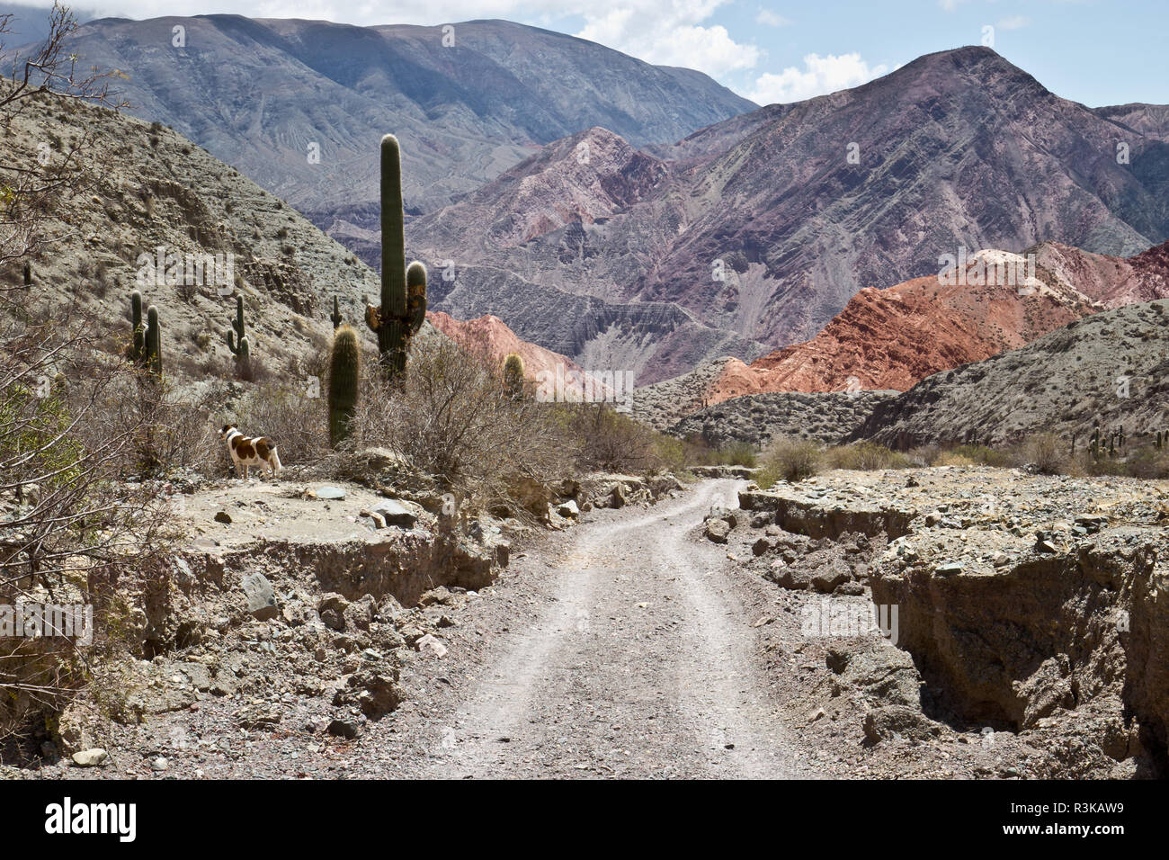 Beautiful seven color mountains near Purmamarca, Argentina Stock Photo ...