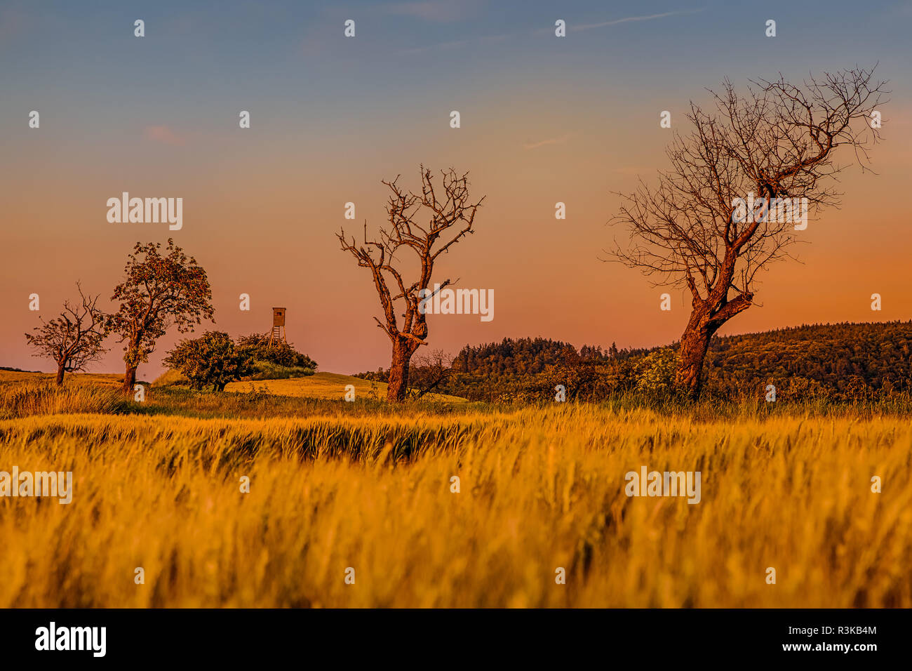 landscape at dusk Stock Photo - Alamy