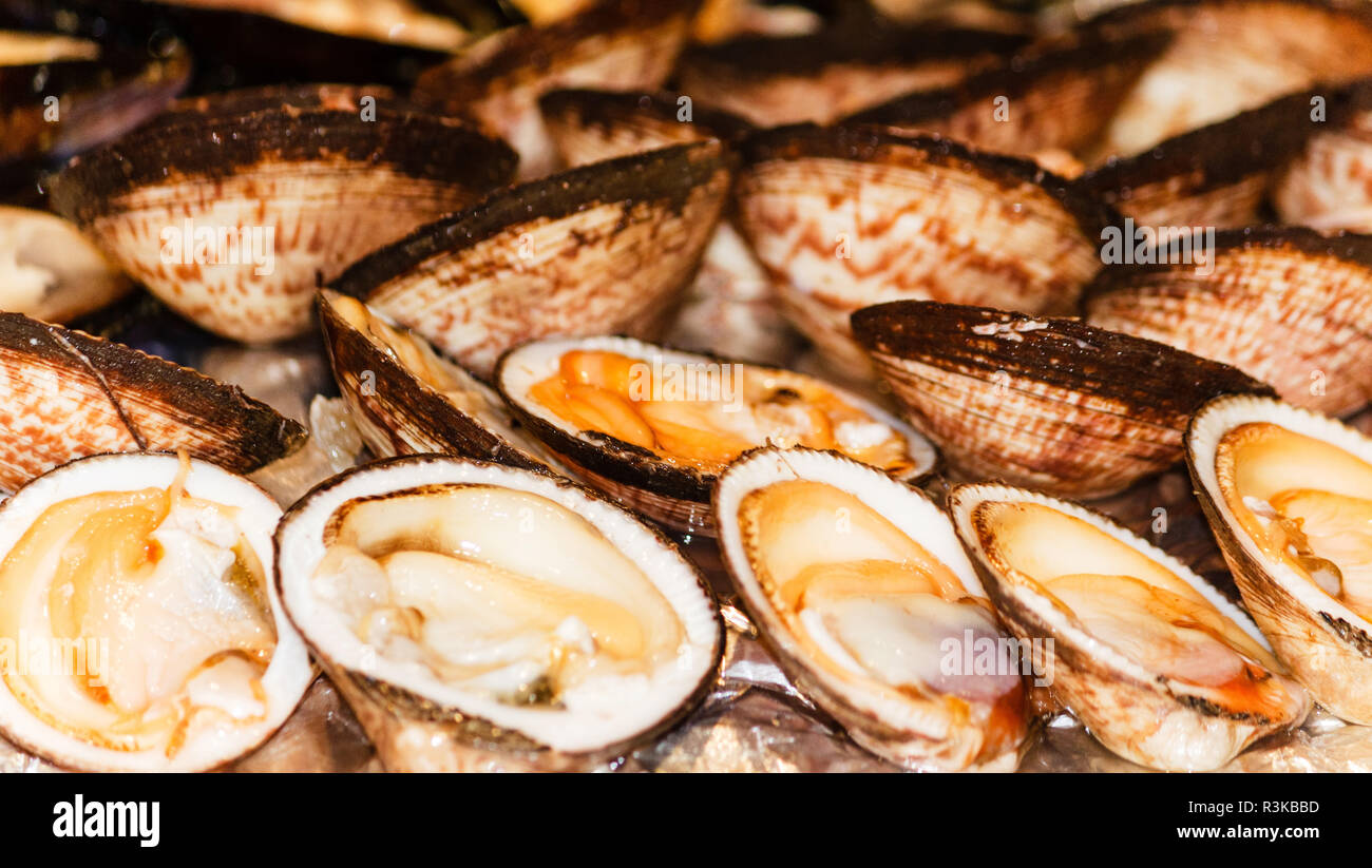 Amande de mer hi-res stock photography and images - Alamy