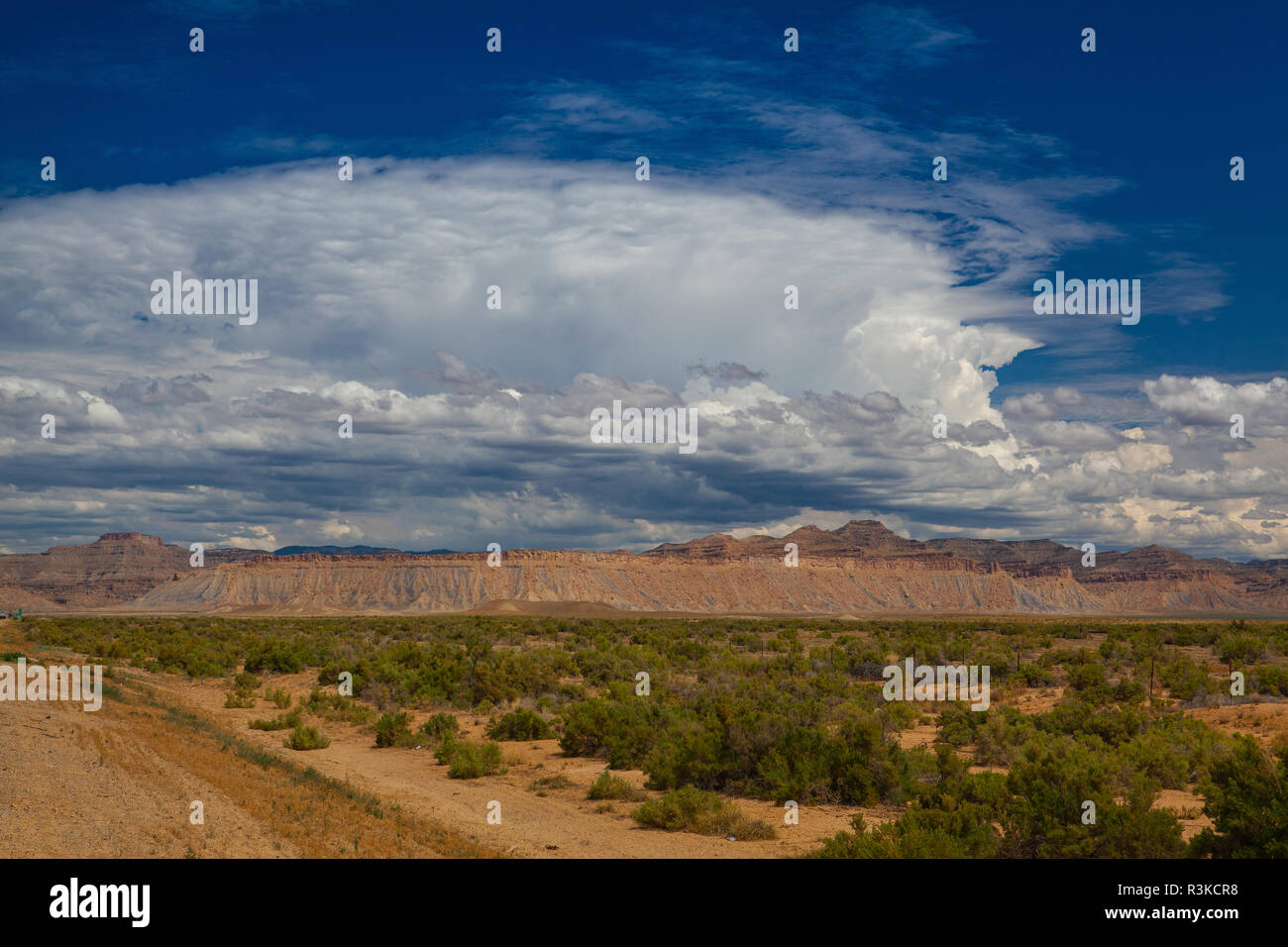 Highway of death desert storm hi-res stock photography and images - Alamy
