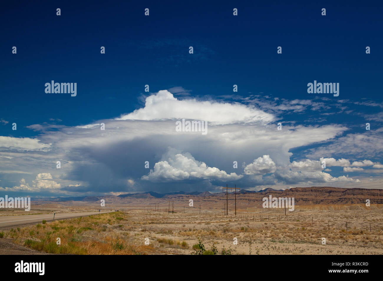 Highway of death desert storm hi-res stock photography and images - Alamy