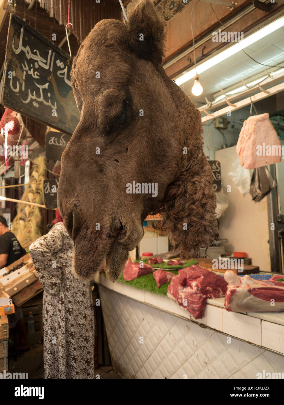 Camel Head At Butcher'S Shop In Fez, Morocco Stock Photo - Alamy