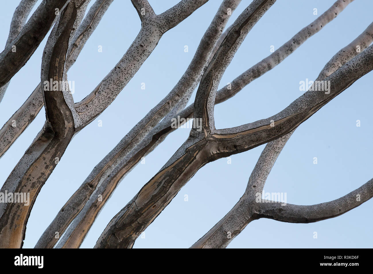 Namibia pattern hi-res stock photography and images - Alamy