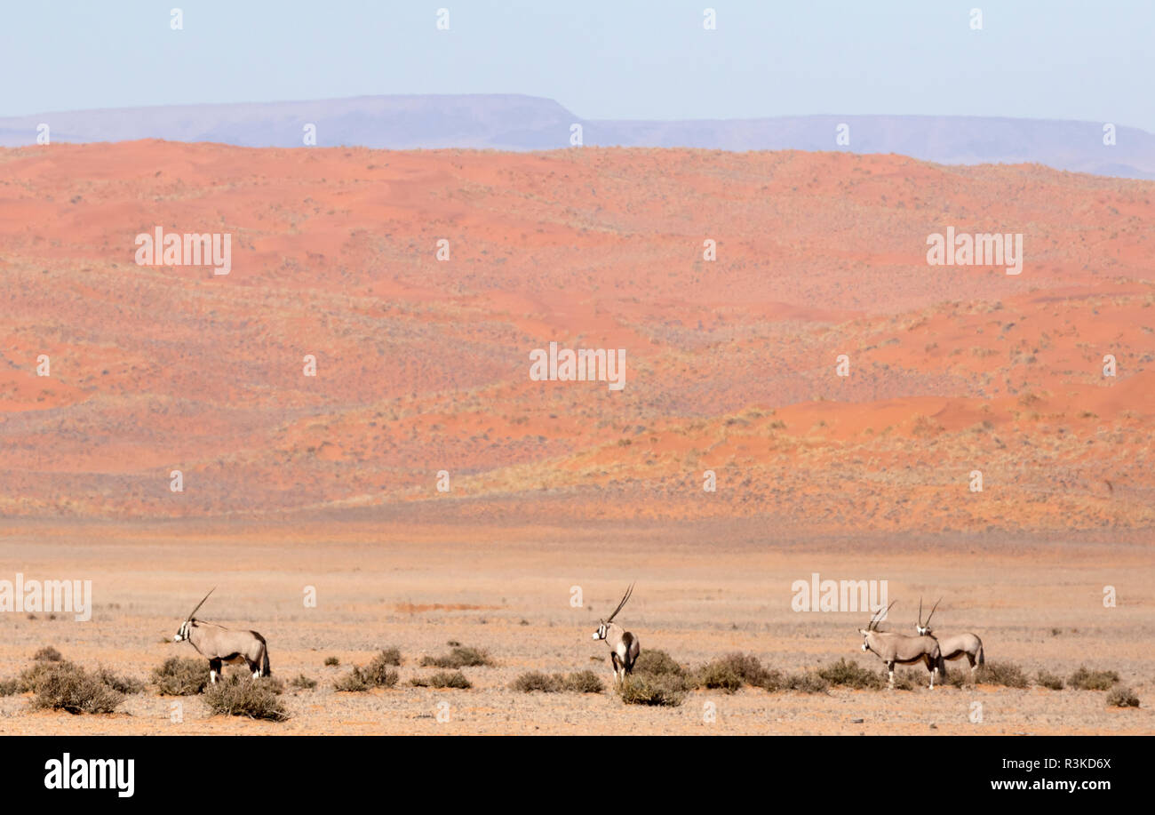 Heatwaves in africa hi-res stock photography and images - Alamy