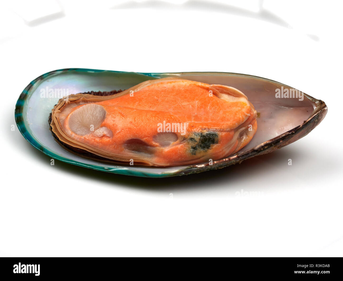 A fresh mussel with orange meat isolated on white Stock Photo - Alamy