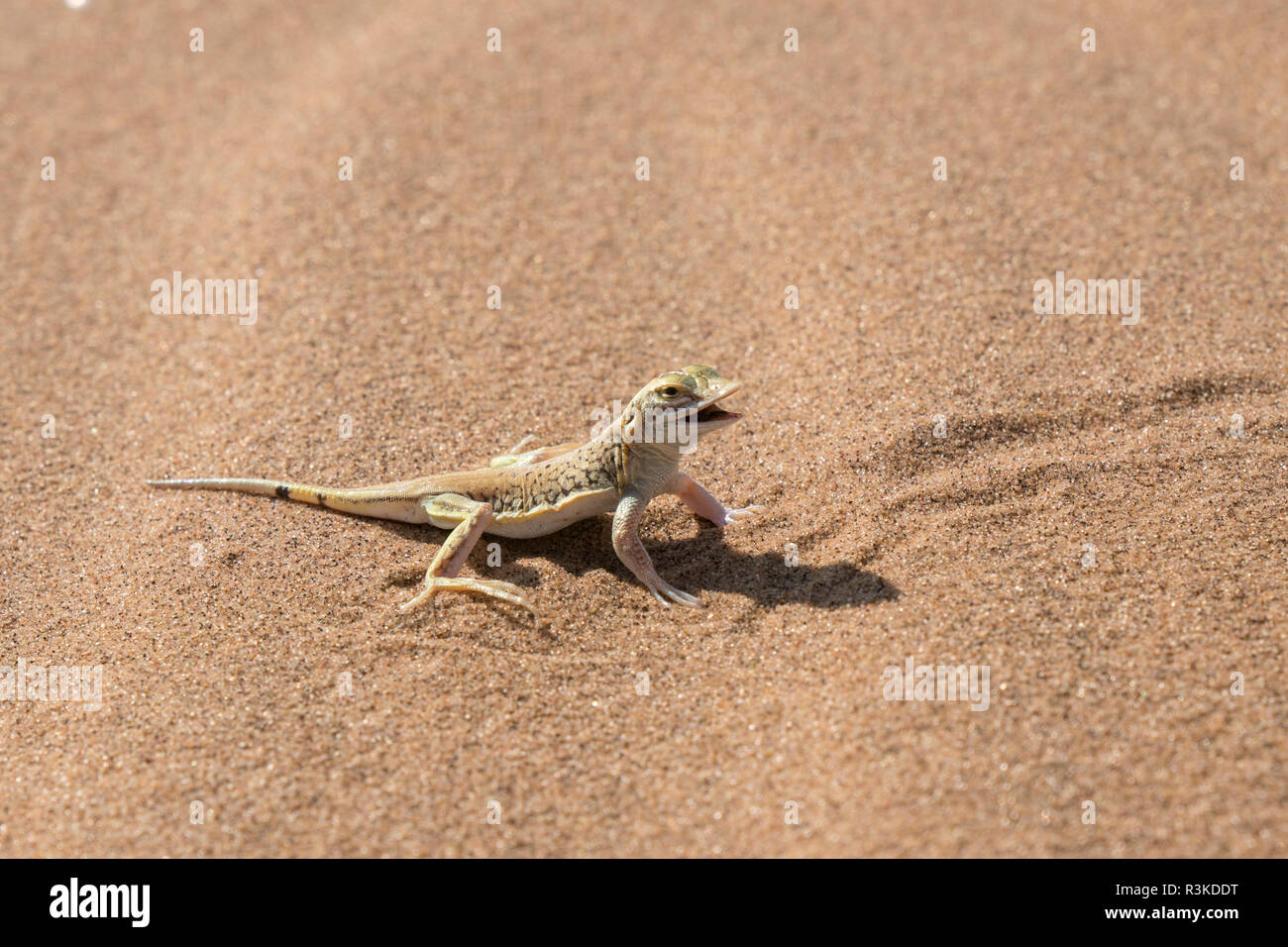 Poised posture hi-res stock photography and images - Alamy