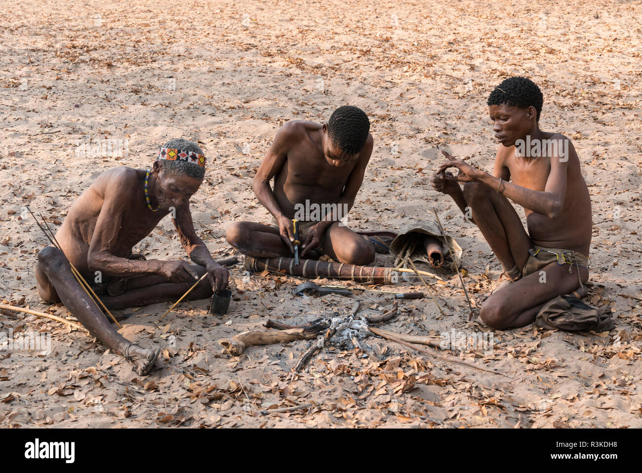 San Bushmen work together to make an arrow, eastern Namibia, Africa ...