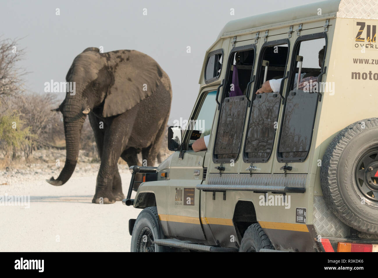 Safari vehicle in front elephant hi-res stock photography and images ...