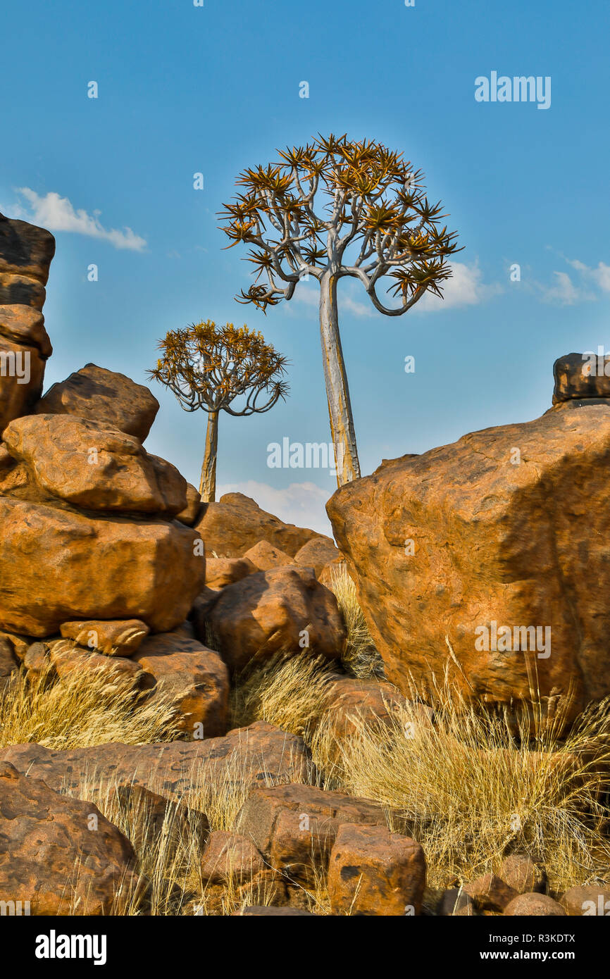 Africa, Namibia, Keetmanshoop. Giants' Playground at the Quiver tree ...