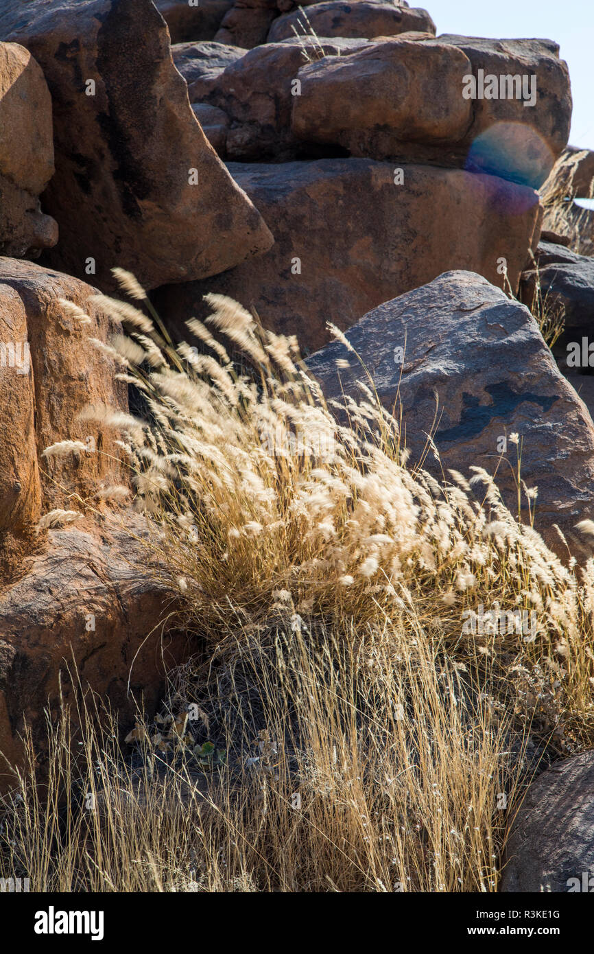 Africa, Namibia, Keetmanshoop, Giants' Playground at the Quiver tree ...
