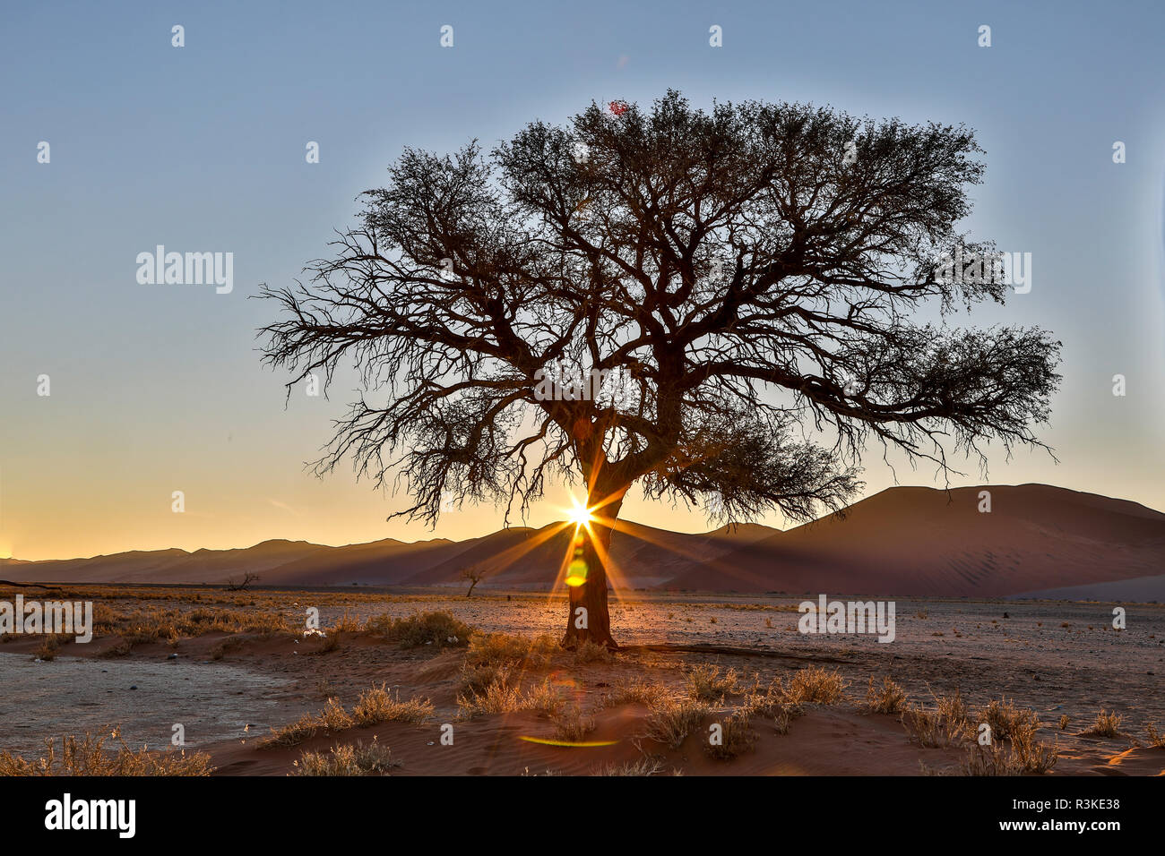 Star dune namibia hi-res stock photography and images - Alamy