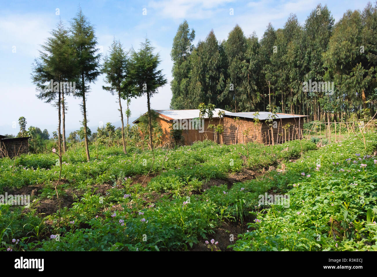 Rwanda House High Resolution Stock Photography and Images - Alamy
