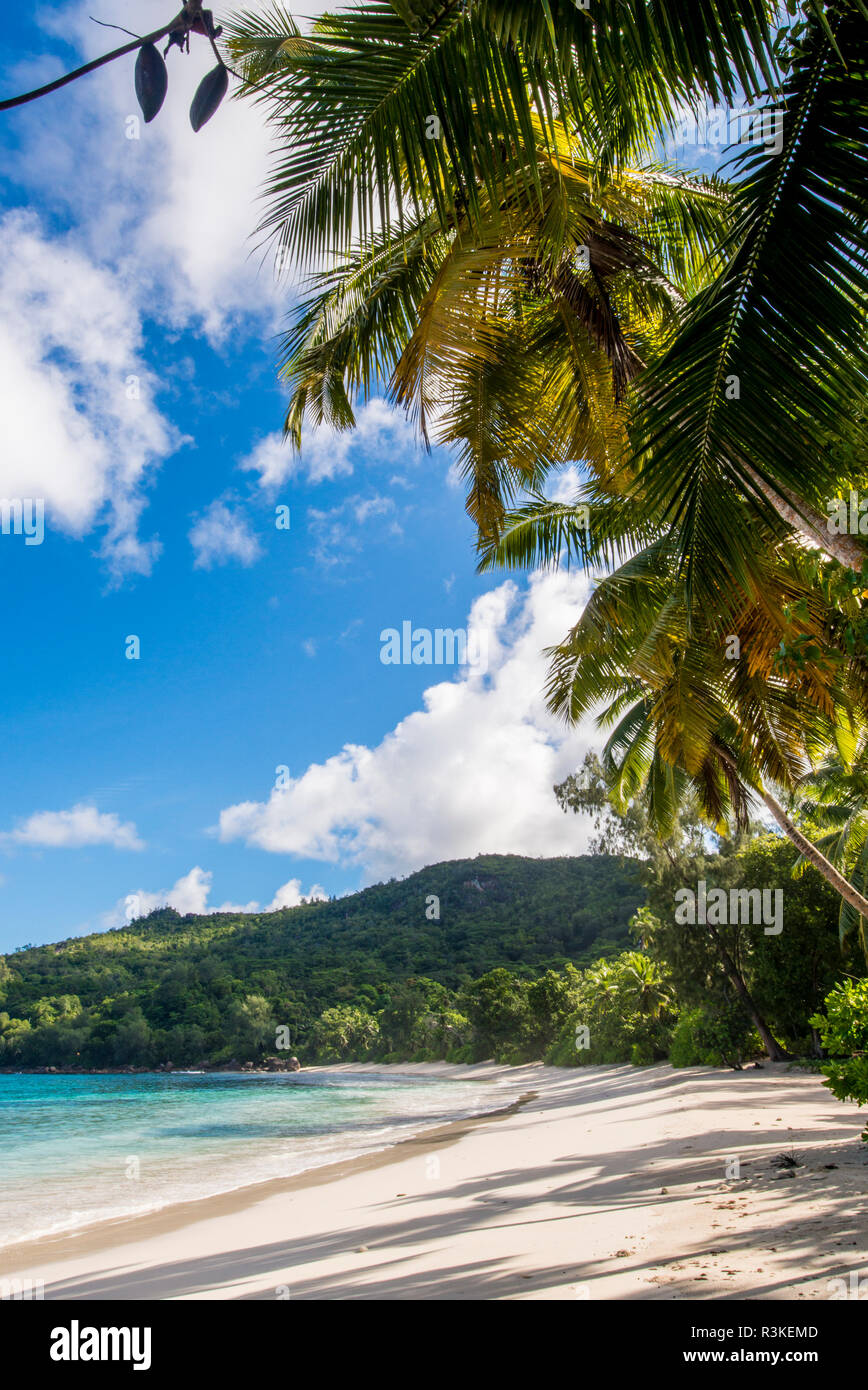 Petit Police Bay Beach, Mahe, Republic of Seychelles, Indian Ocean ...