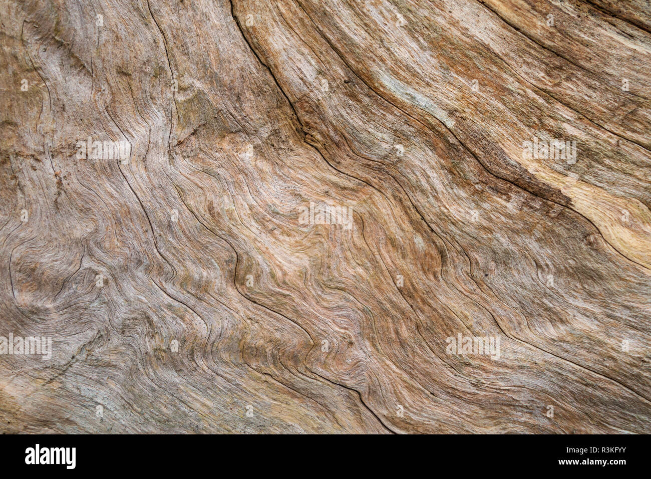 wavy patterns in wood Stock Photo - Alamy