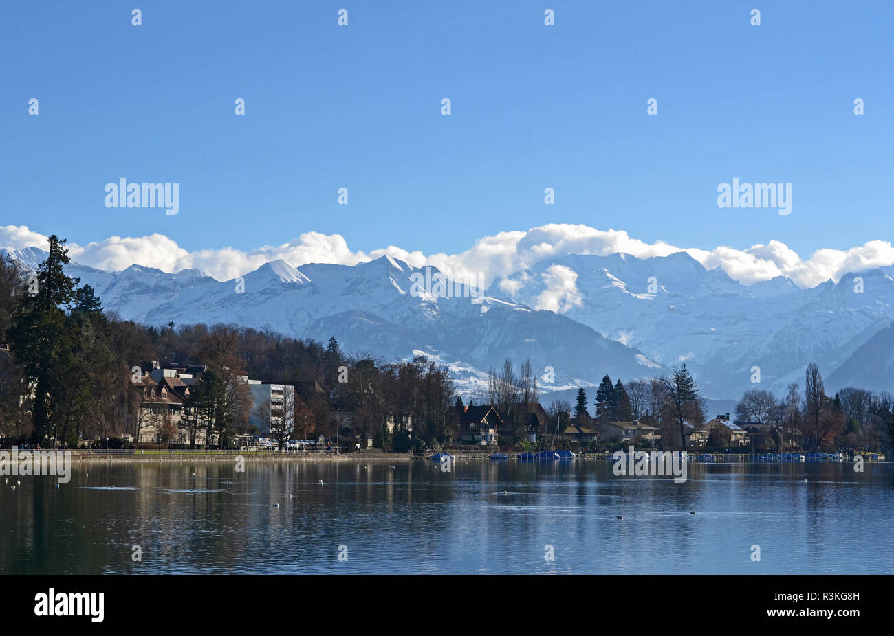 mild winter in thun Stock Photo - Alamy