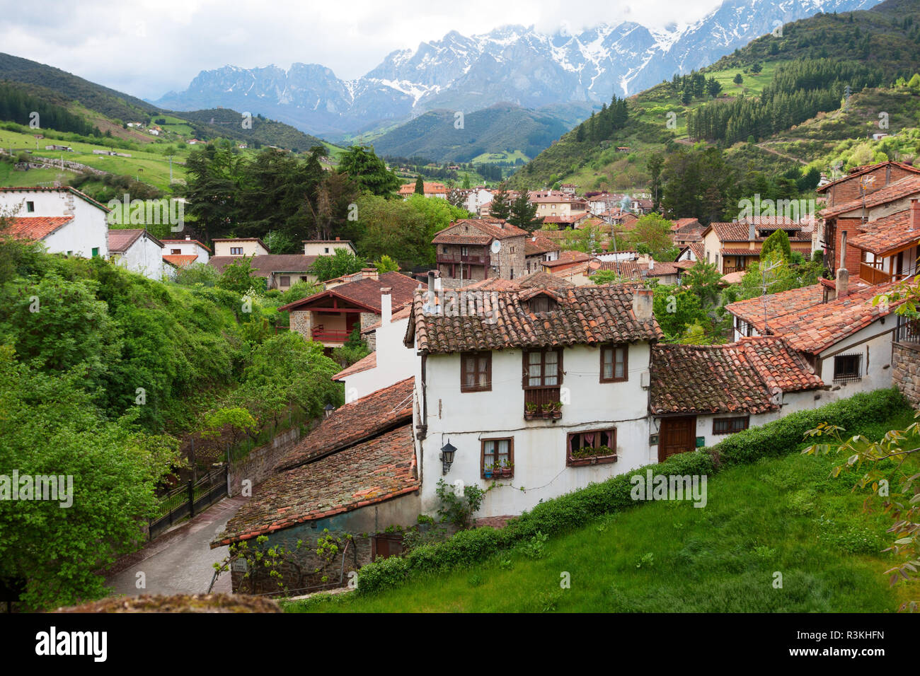 Picos de europa spring flowers hi-res stock photography and images - Alamy