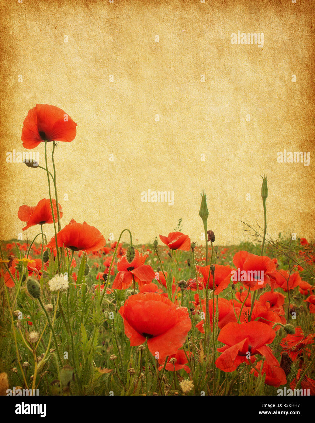 Retrospective background hi-res stock photography and images - Alamy