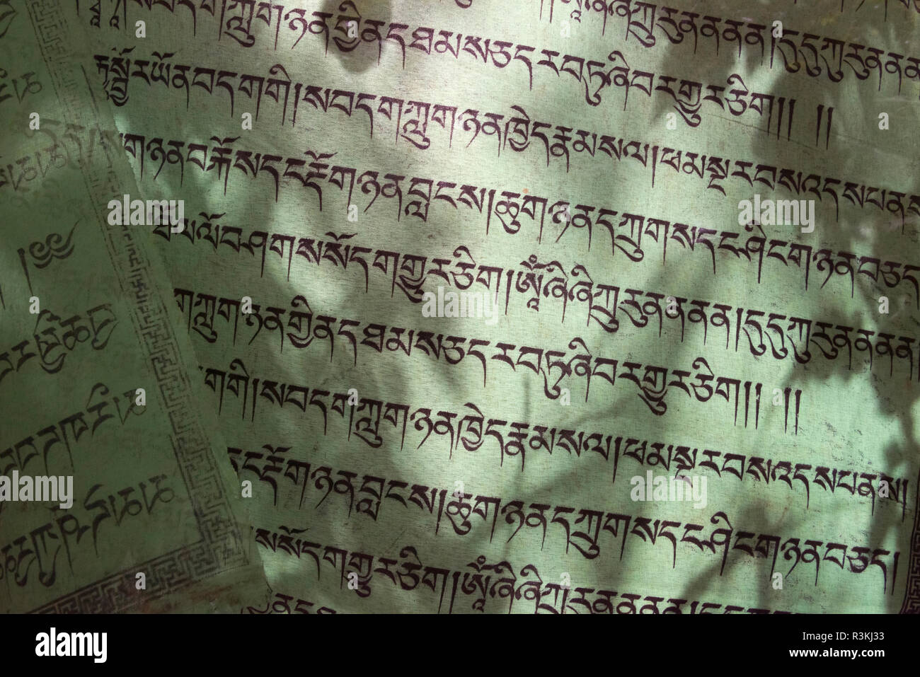 Western scripts hi-res stock photography and images - Alamy