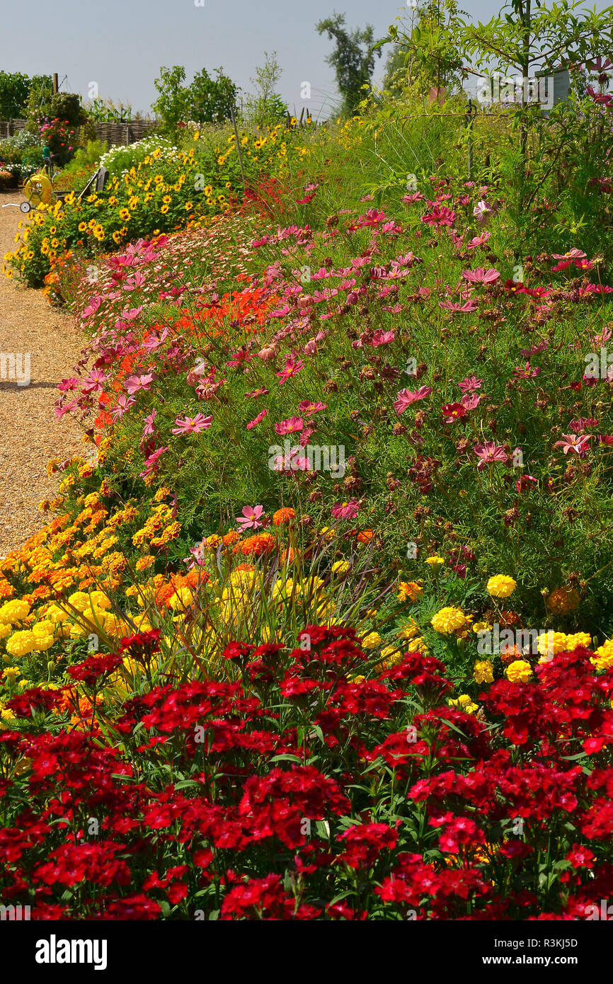 Brown borders hi-res stock photography and images - Alamy