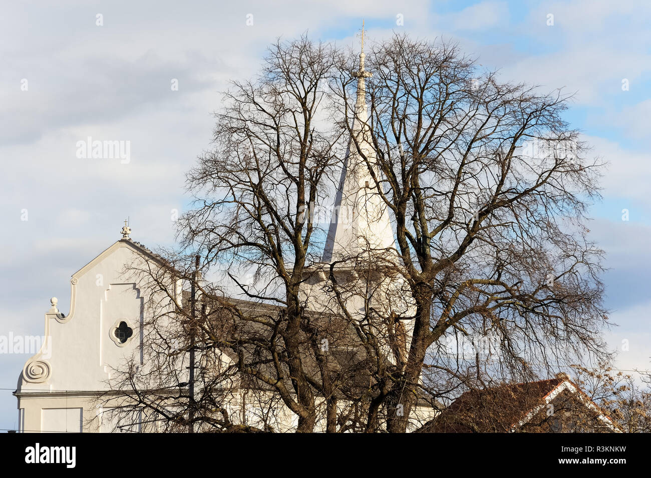 Volute Tree High Resolution Stock Photography and Images - Alamy