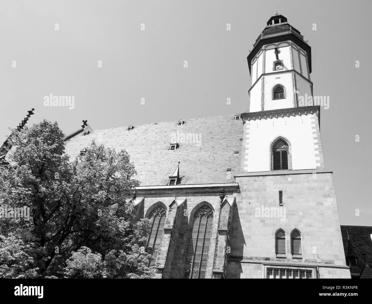 Thomaskirche leipzig Black and White Stock Photos & Images - Alamy