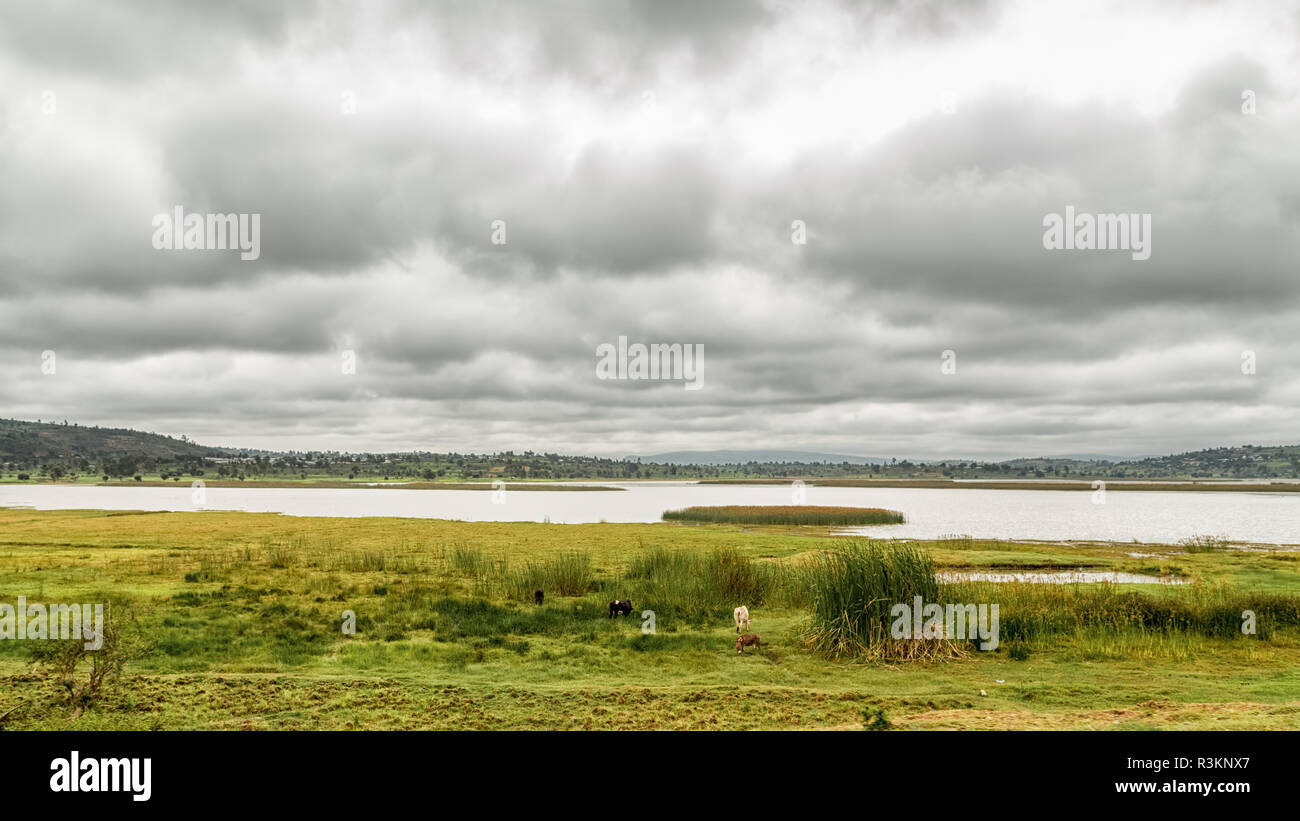 Ormoiya hi-res stock photography and images - Alamy