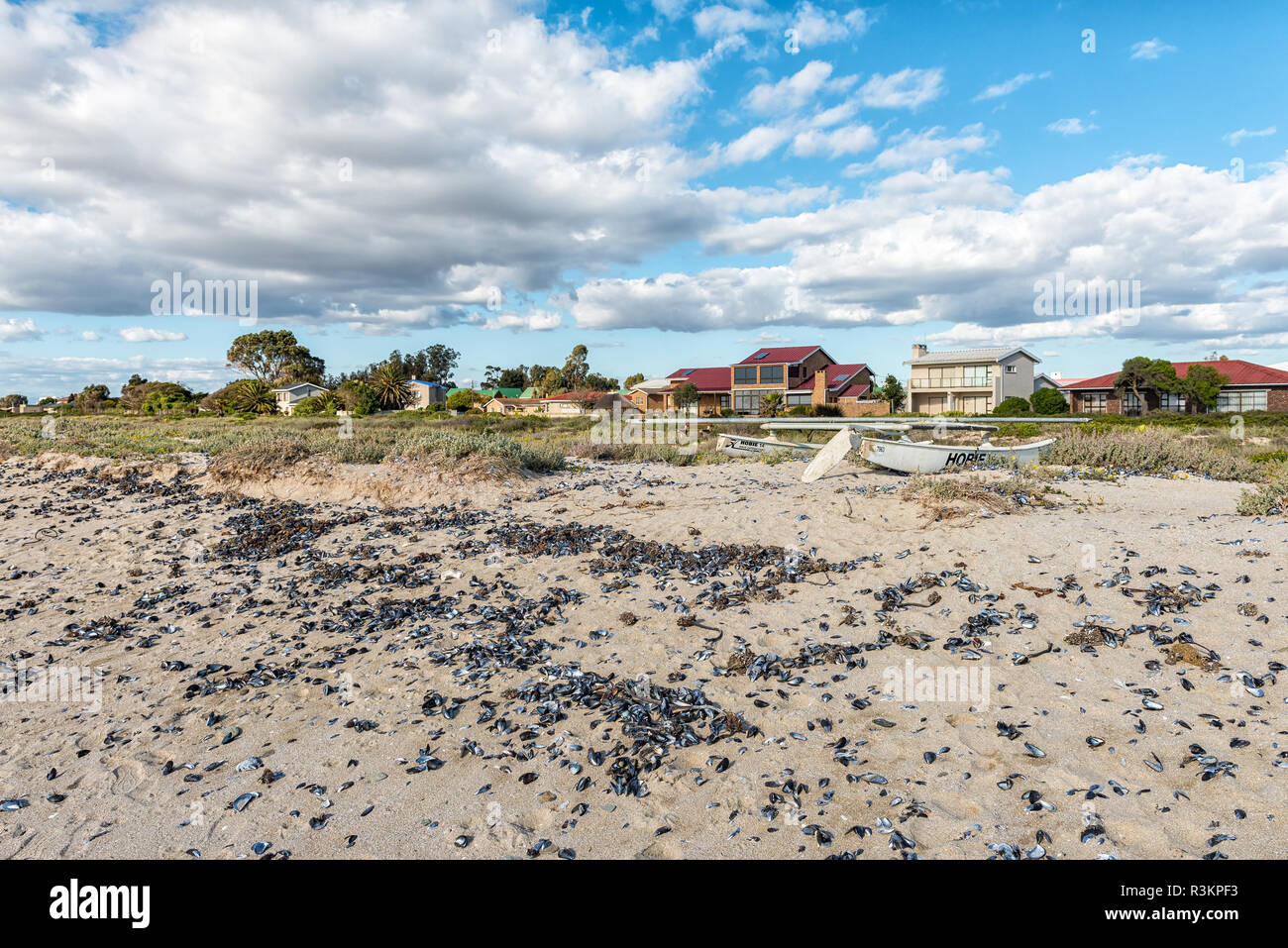 DWARSKERSBOS, SOUTH AFRICA, AUGUST 21, 2018: A beach scene in ...