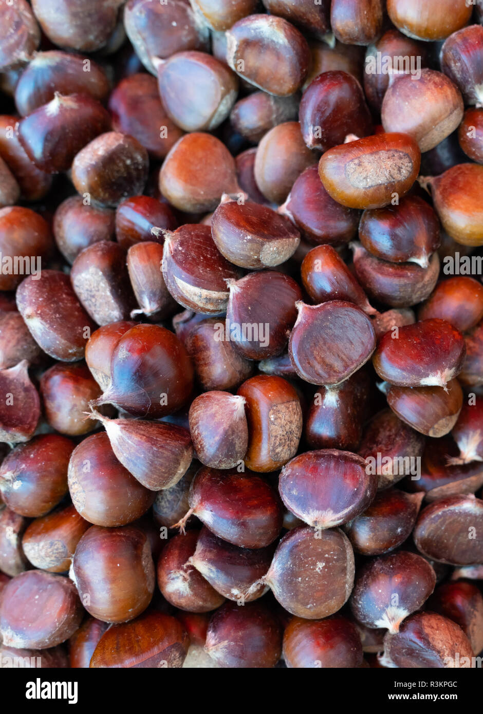 Chestnut background. Can be used for design, websites, interior ...