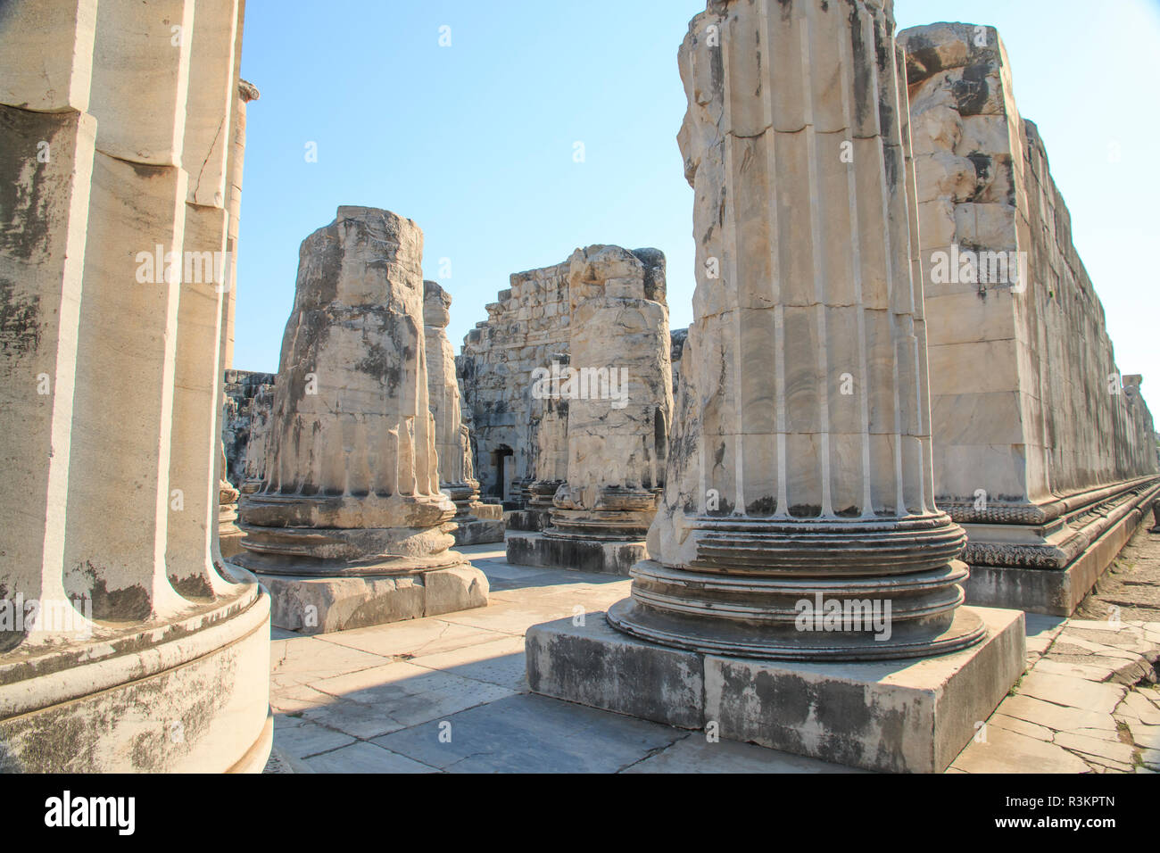 Turkey, west coast, Didyma, a sacred site of the ancient world. Its ...