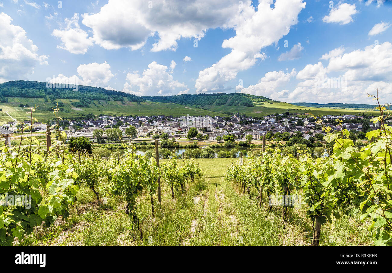 Leiwen hi-res stock photography and images - Alamy