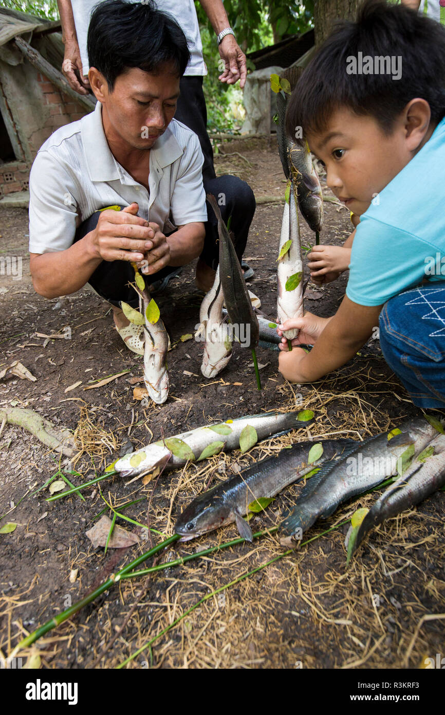 Preparing the fish. Tet Festival, New Year celebration, Vietnam. (MR ...
