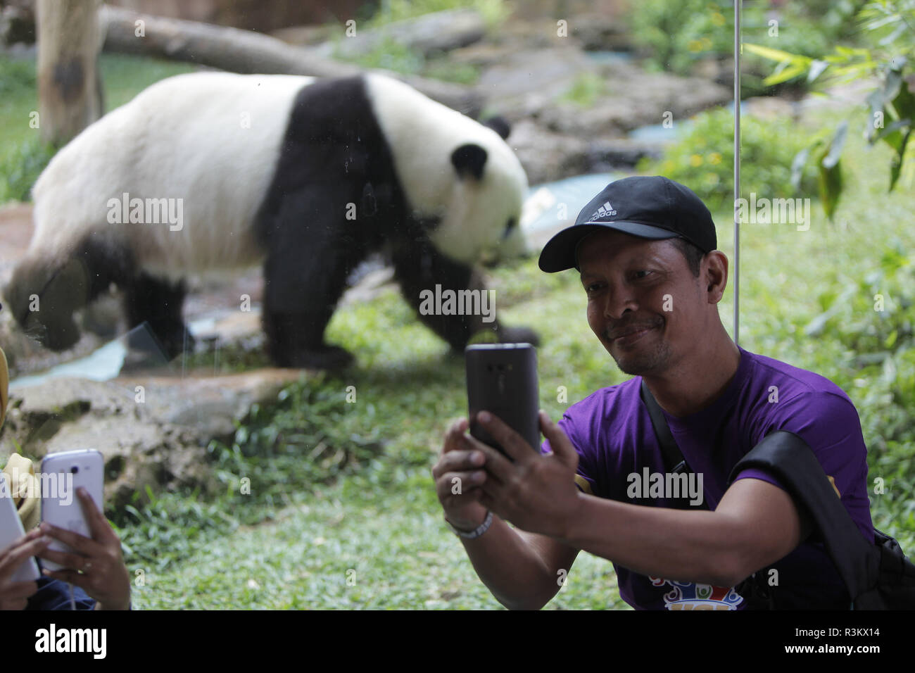 Tao Images High Resolution Stock Photography and Images - Alamy