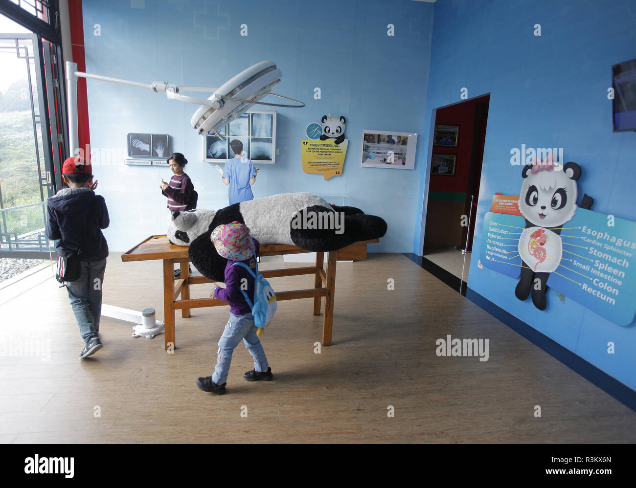 Cai tao hi-res stock photography and images - Alamy