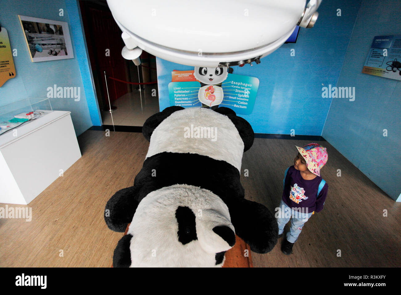 Panda Room High Resolution Stock Photography and Images - Alamy