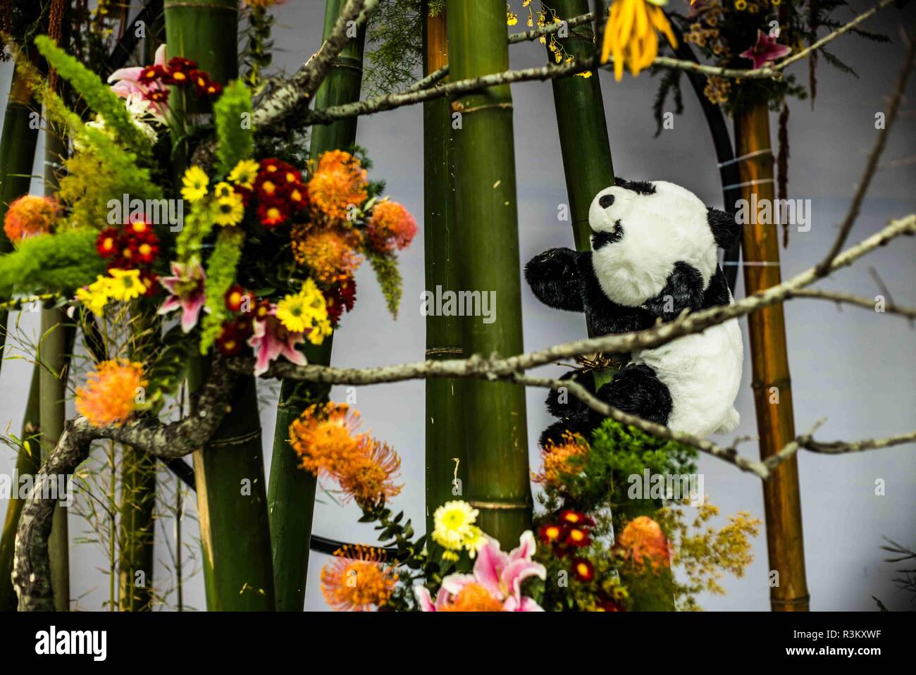 Chengdu, Chengdu, China. 23rd Nov, 2018. Chengdu, CHINA-The 56th ...