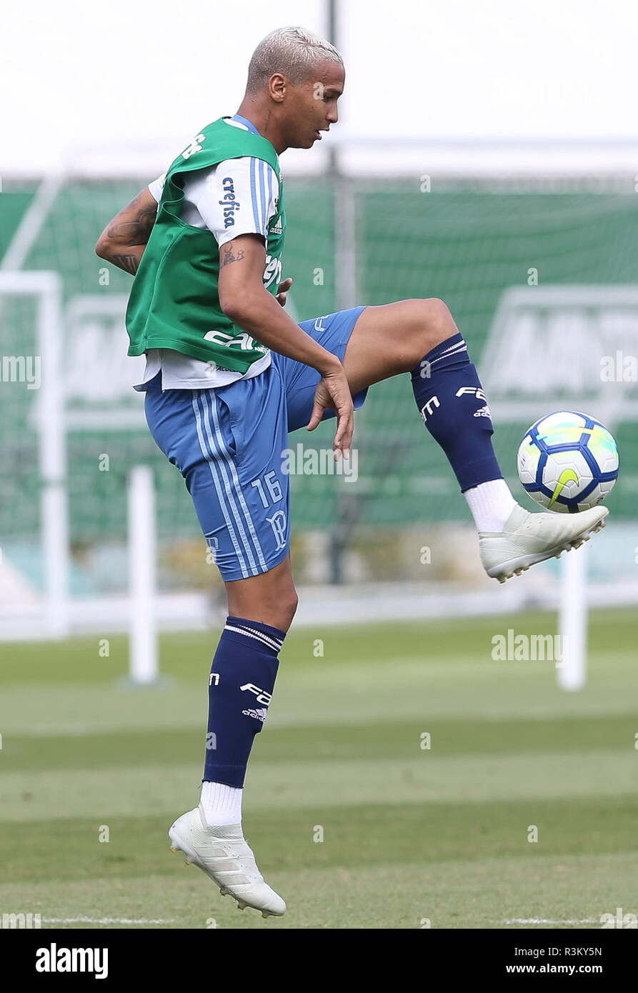 SÃO PAULO, SP - 23.11.2018: TREINO DO PALMEIRAS - of SE Palmeiras ...
