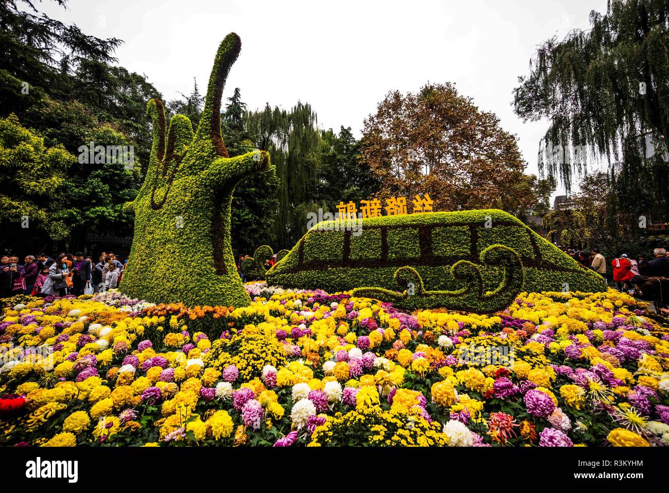 Chengdu, Chengdu, China. 23rd Nov, 2018. Chengdu, CHINA-The 56th ...