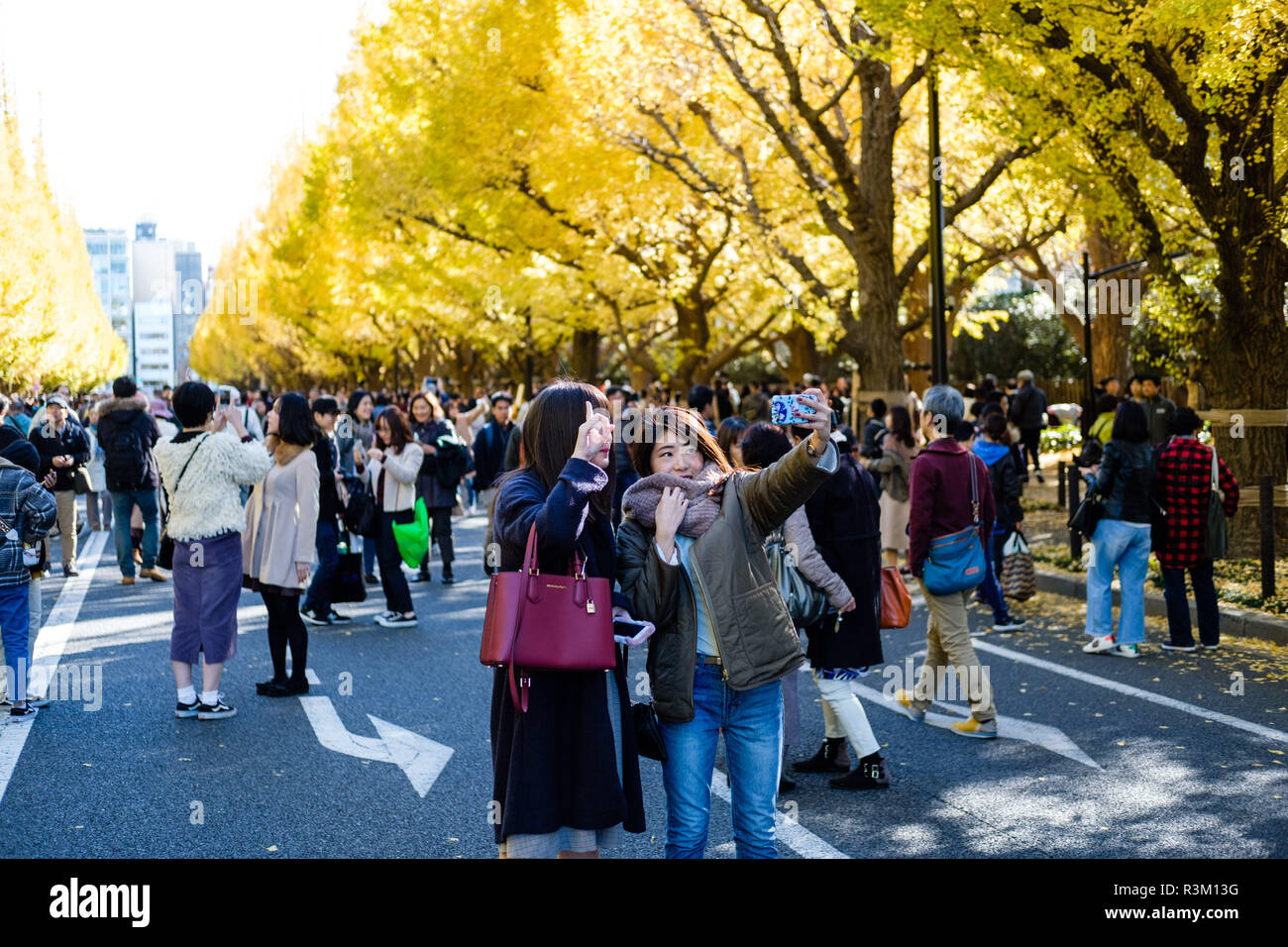 Tokyo, Japan. 23rd Nov, 2018. People enjoy the autumn leaves ginkgo ...