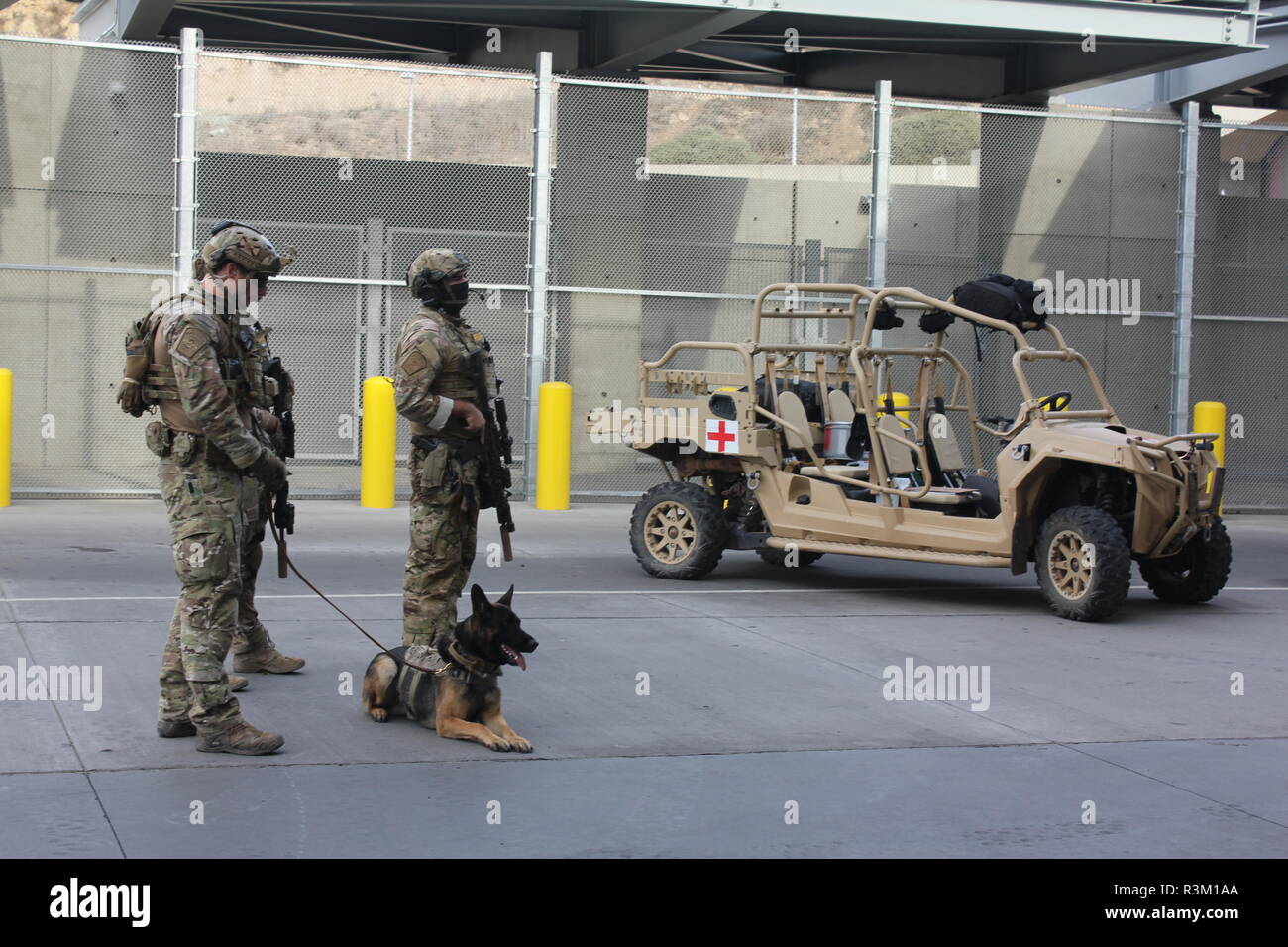 Are Border Patrol Dogs Used For Search And Rescue