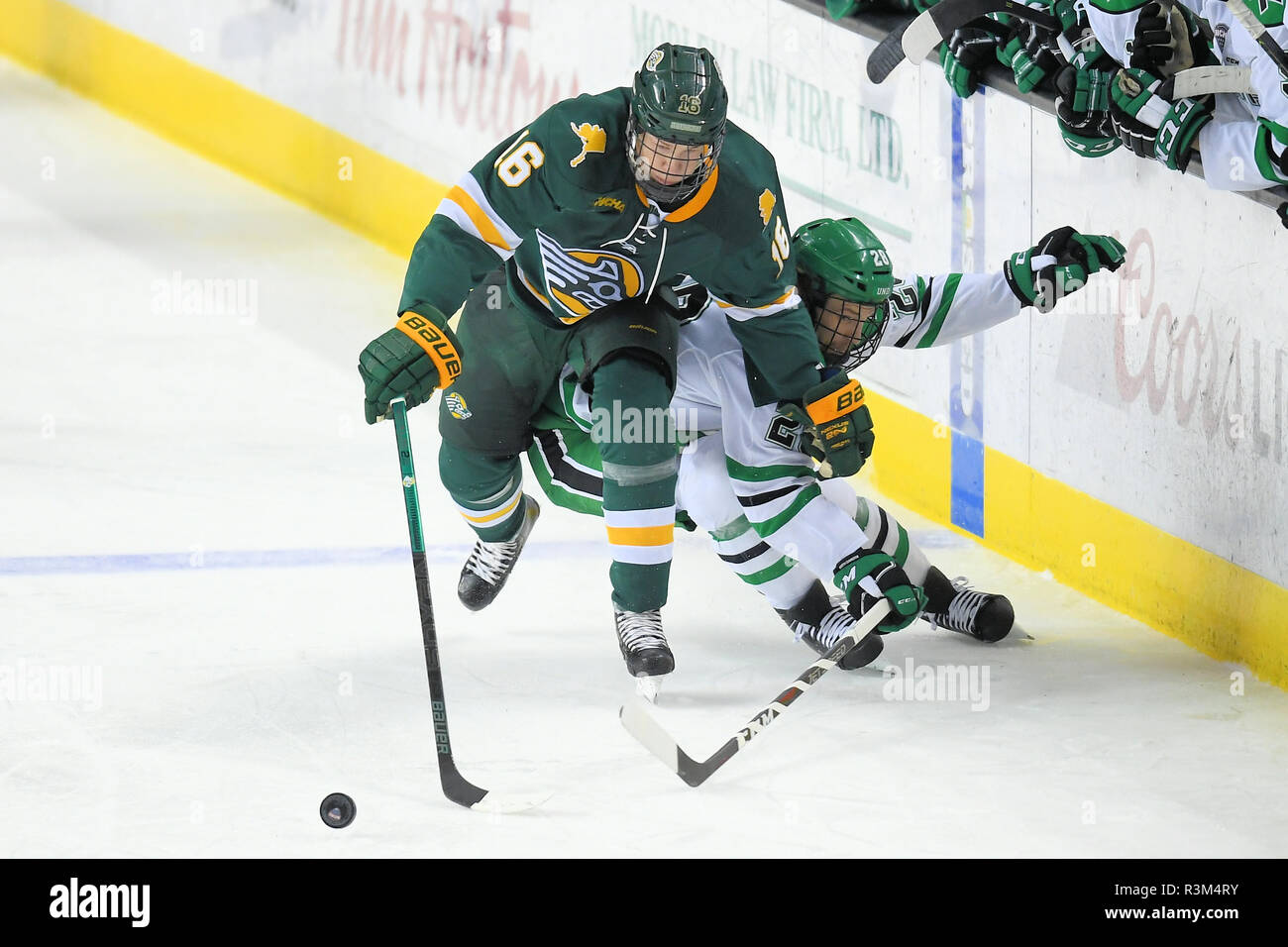 Hayden hawks hi-res stock photography and images - Alamy