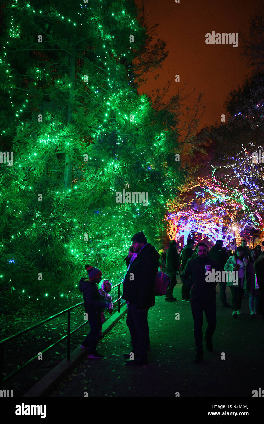 Zoolights national zoo hi-res stock photography and images - Alamy