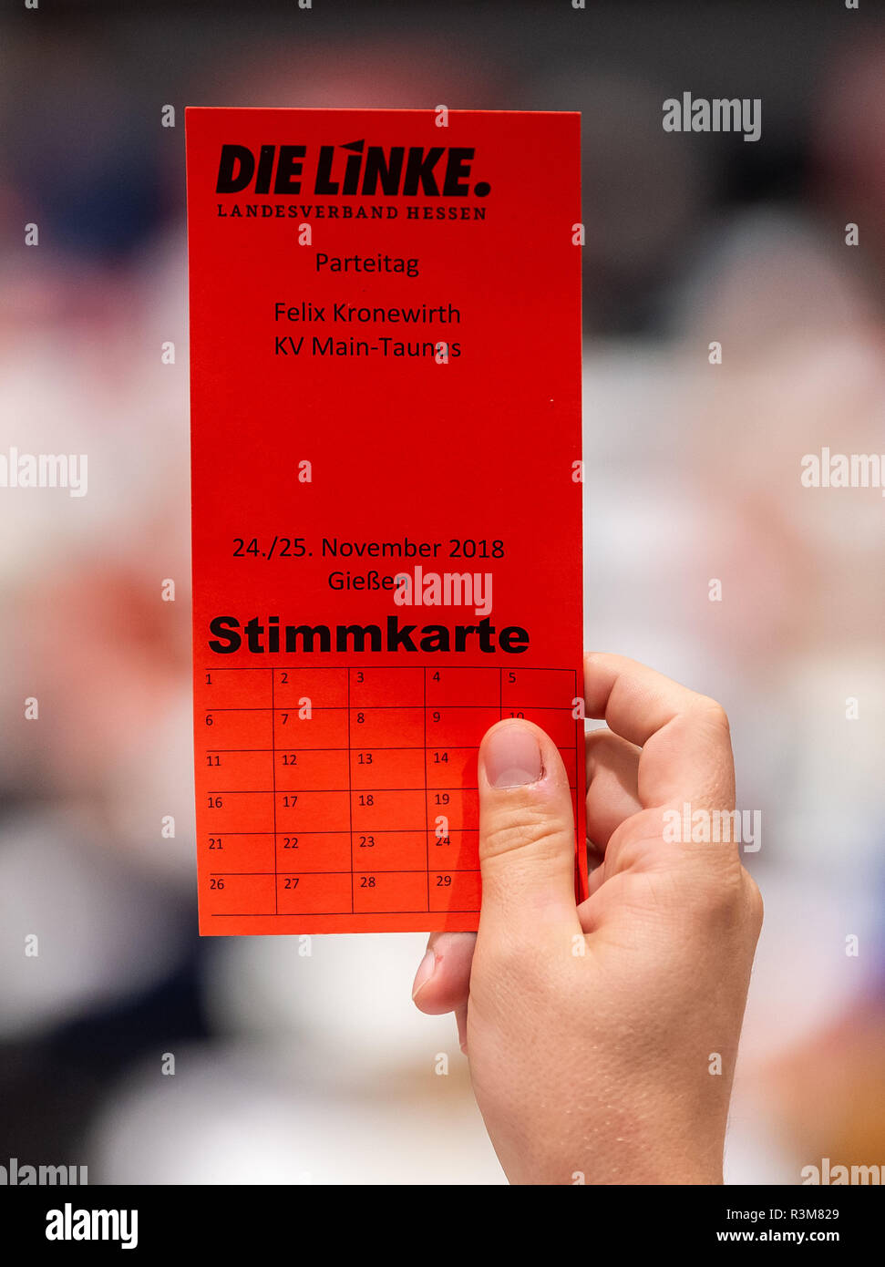 24 November 2018, Hessen, Gießen: A delegate of the state party ...